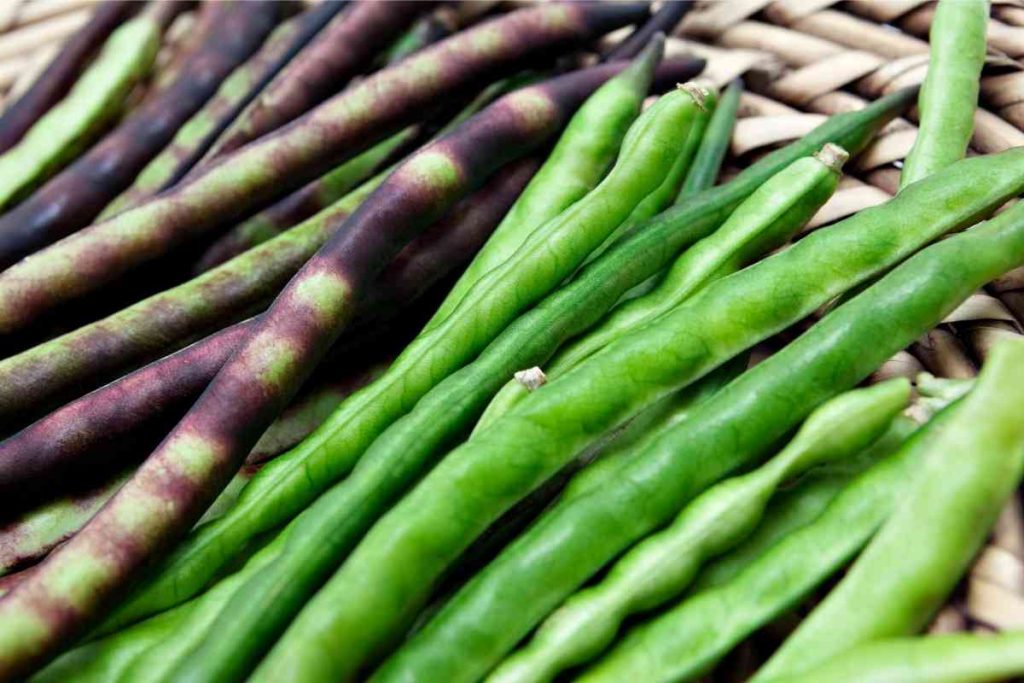 5 Best Lady pea substitutes