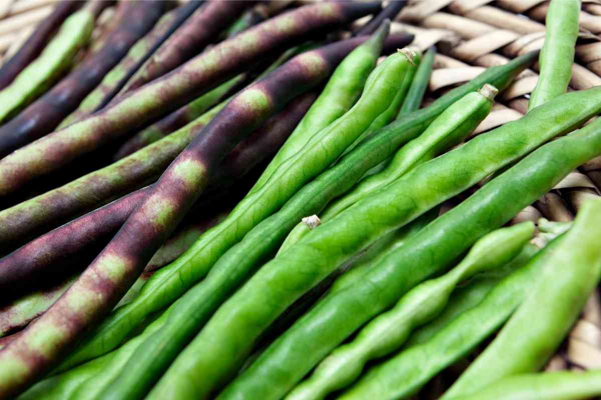 5 Best Lady pea substitutes