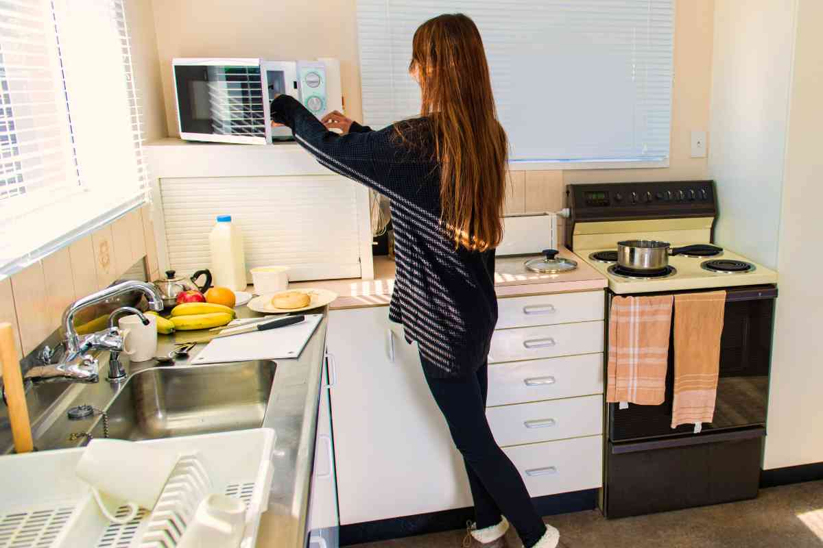 How to Reheat Mozzarella Sticks: 5 Best Methods